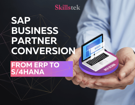 SAP Business Partner Conversion From SAP ERP to S/4 HANA